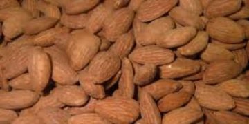 Here's a plan to DECREASE Inflammation - Studio Botanica