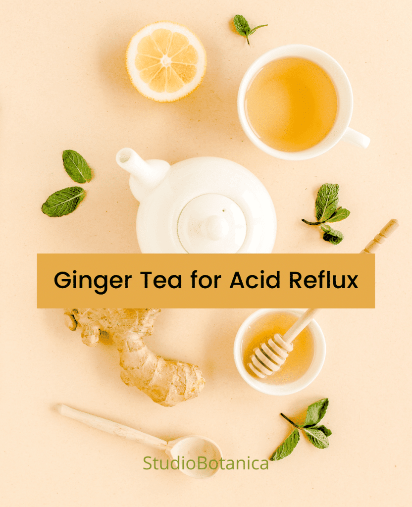 Ginger tea for Acid Reflux ~ Feel better - Studio Botanica
