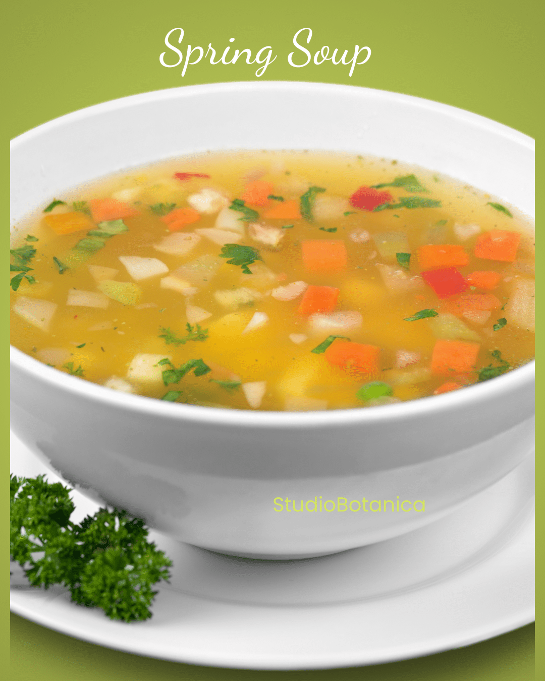 Lighten up with this Spring Soup! - Studio Botanica