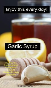 Easy Garlic Syrup - Studio Botanica