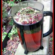 Ruby Red Herbal Iced Tea - Studio Botanica