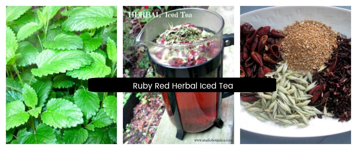 Ruby Red Herbal Iced Tea - Studio Botanica