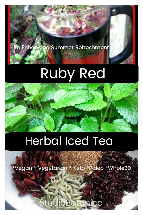 Ruby Red Herbal Iced Tea - Studio Botanica