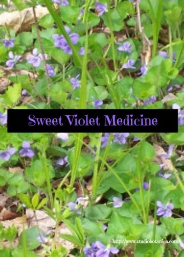 Violet Medicine