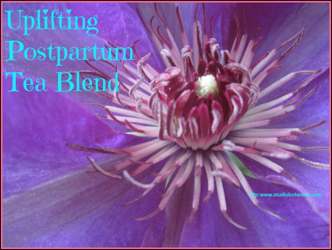 Postpartum Tea Blend ~ helps lift depression - Studio Botanica