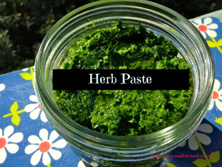 DIY Herb Paste ~ green taste sensation! - Studio Botanica