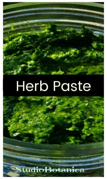 DIY Herb Paste ~ green taste sensation! - Studio Botanica