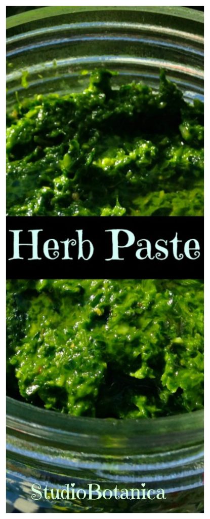 DIY Herb Paste ~ green taste sensation! - Studio Botanica