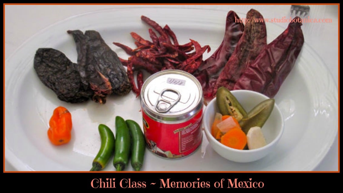 From my Mexican cooking class - Studio Botanica