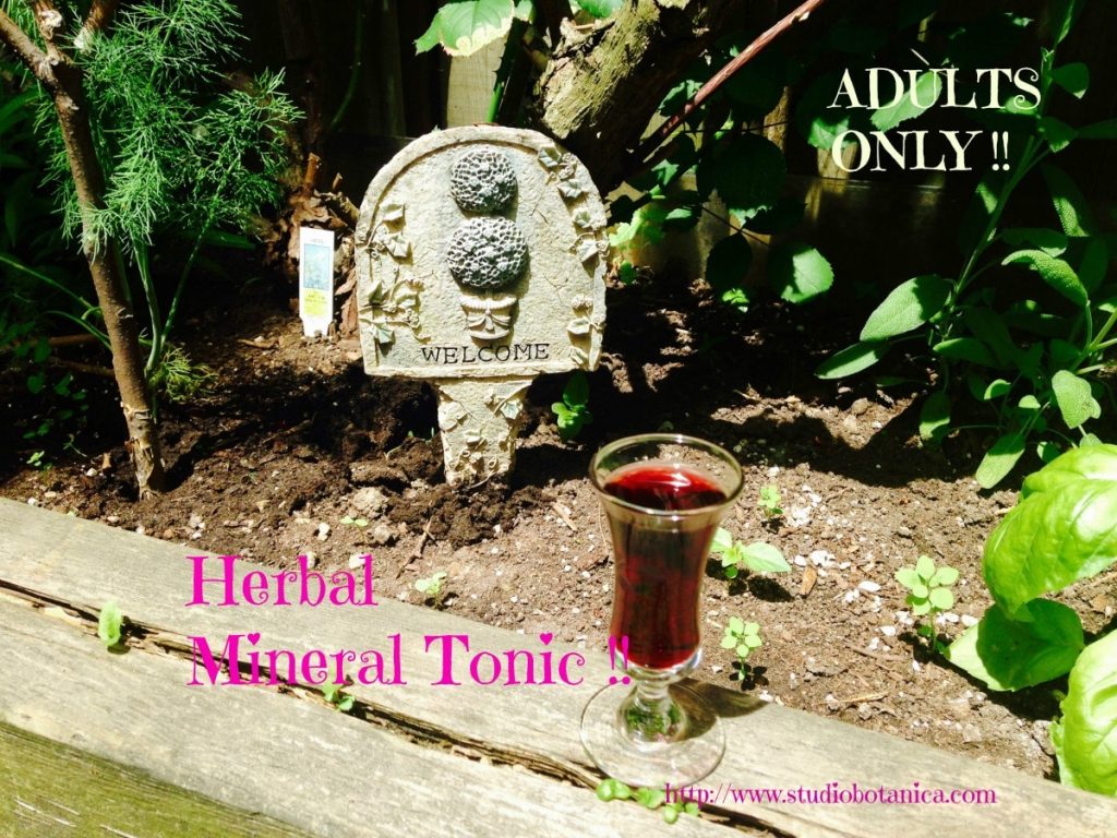 Herbal Mineral Tonics - Studio Botanica