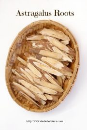 Amazing Astragalus Medicine - Studio Botanica
