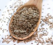 Dill benefits + recipes - Studio Botanica