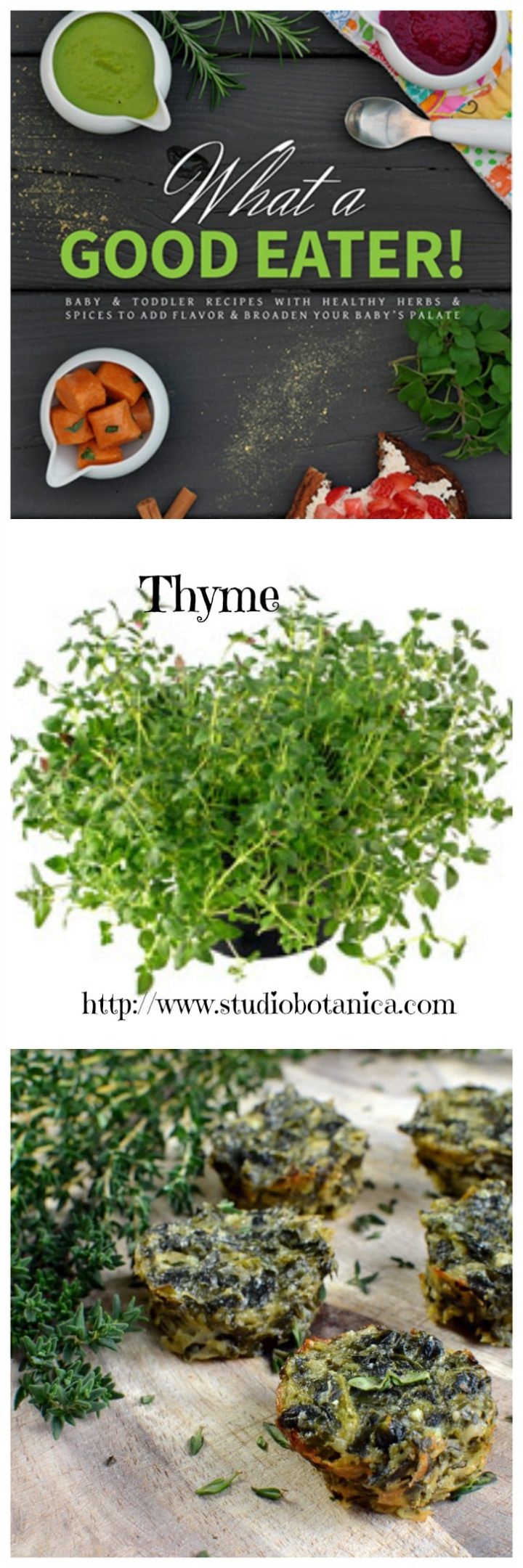 "What a Good Eater" Cookbook Review - Studio Botanica