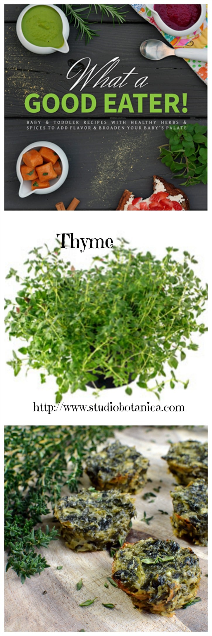 "What a Good Eater" Cookbook Review - Studio Botanica