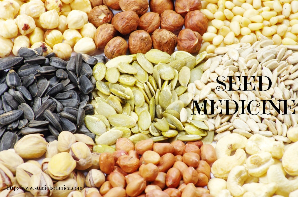 Seed Medicine ~ for best health! - Studio Botanica