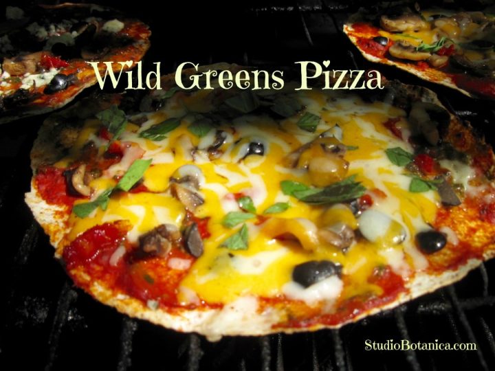 Wild foods ~ Find these wild edibles in YOUR backyard! - Studio Botanica
