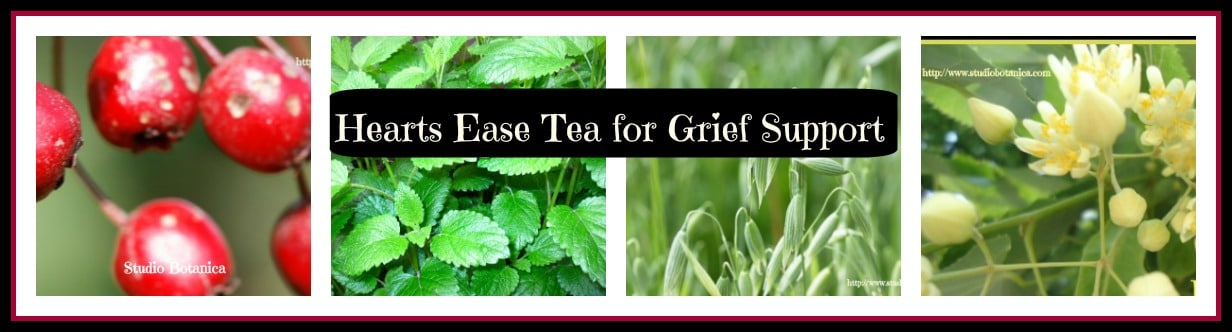 Hearts Ease Tea Recipe for Grief Support - Studio Botanica