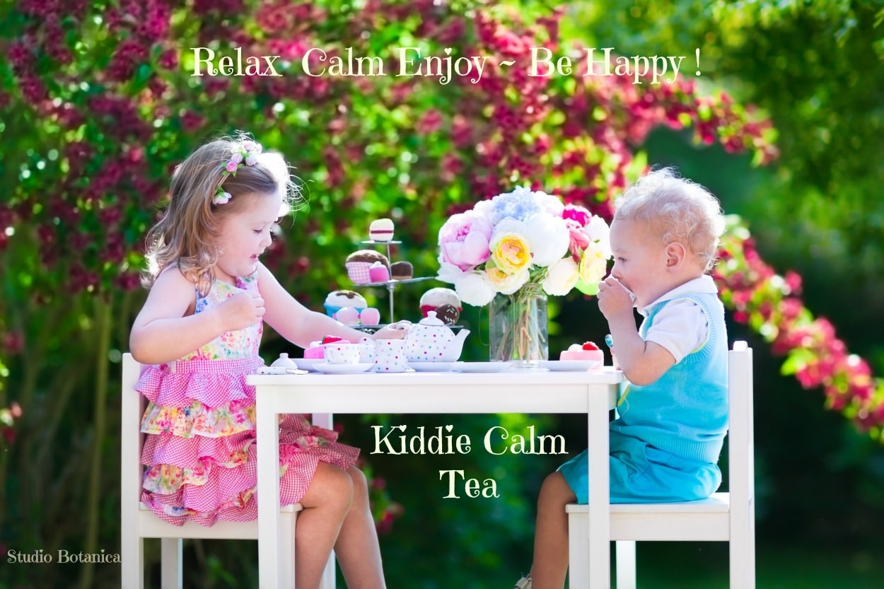 Kiddie Calm Tea Recipe - Studio Botanica
