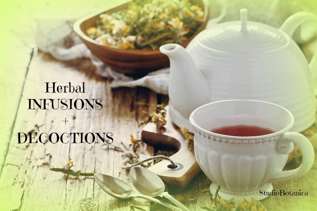 DIY Herbal Infusions + Decoctions ~ you can do this! - Studio Botanica