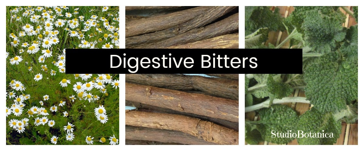 Digestive Bitters ~ an important piece of the puzzle - Studio Botanica