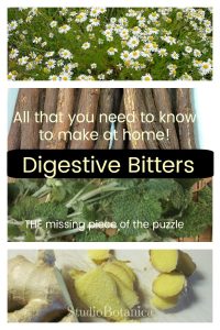 Digestive Bitters ~ an important piece of the puzzle - Studio Botanica