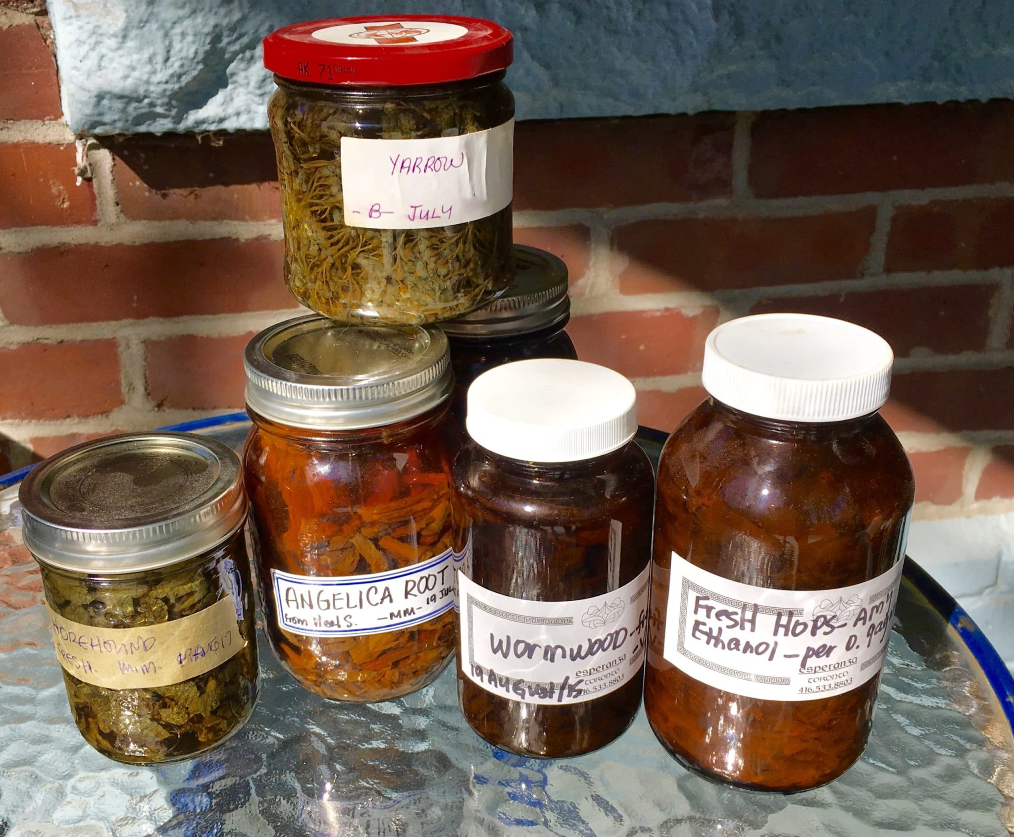 Tasty bitters formula can help digestion - Studio Botanica