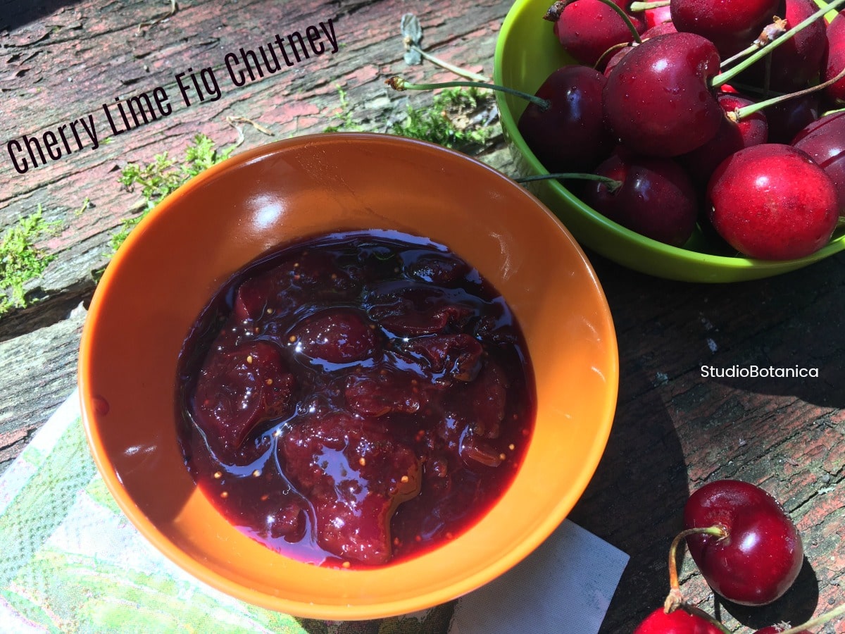 Cherry Lime Fig Chutney recipe ~ summer harvest fun - Studio Botanica
