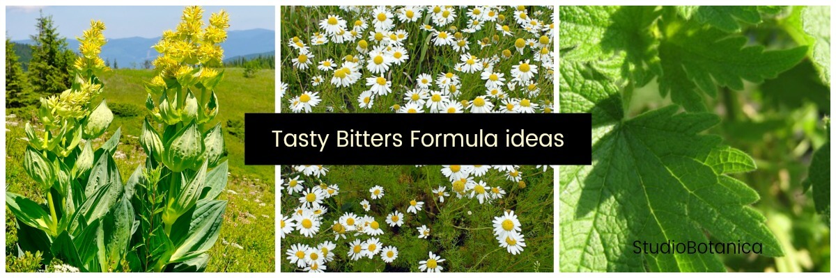 Tasty bitters formula can help digestion - Studio Botanica