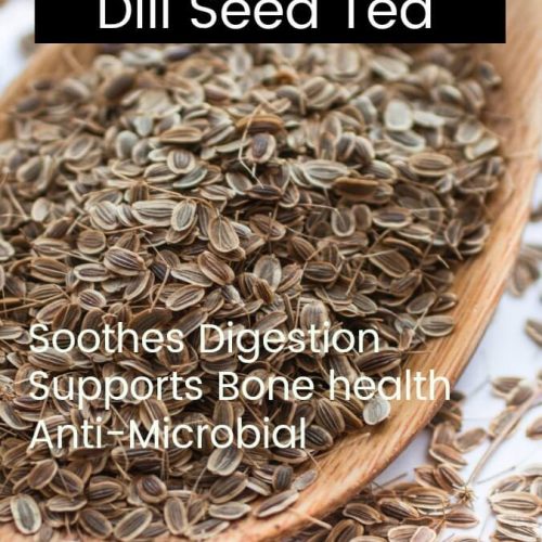 Dill Seed Tea ~ digestive support + more! - Studio Botanica