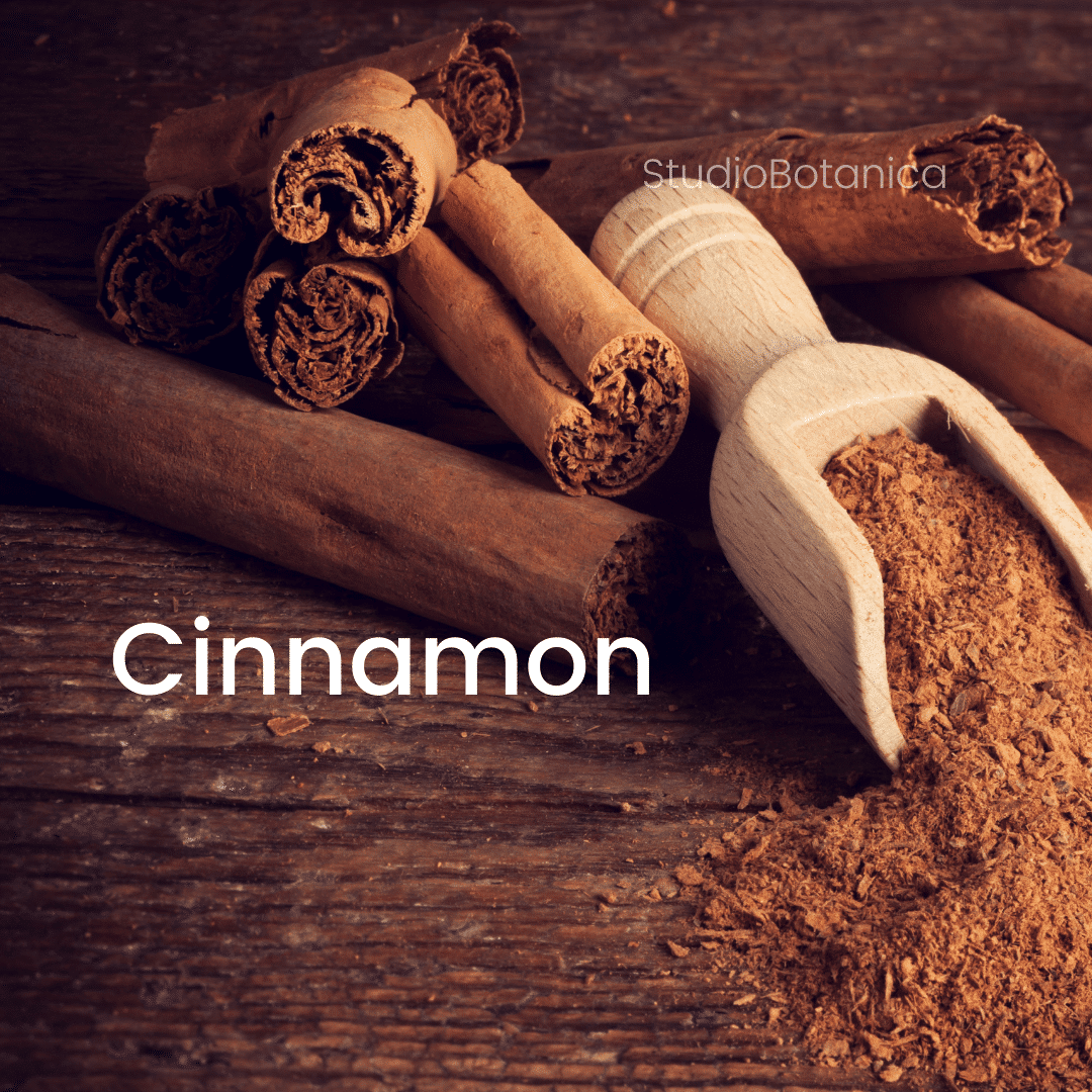 Cinnamon Spice Chai Recipe - Studio Botanica