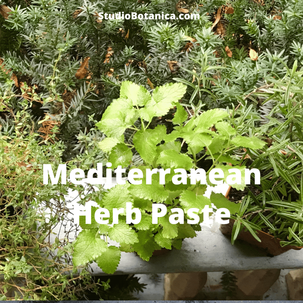 Mediterranean Herb Paste ~ Tasty Garden goodness - Studio Botanica