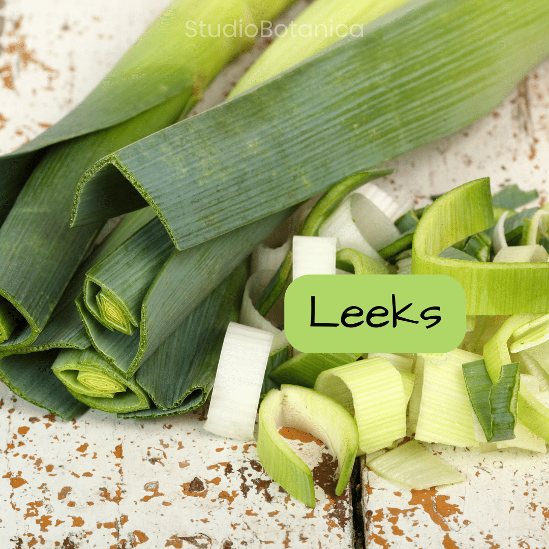 Improve your health + lighten up with nutritious Leeks this Spring! - Studio Botanica