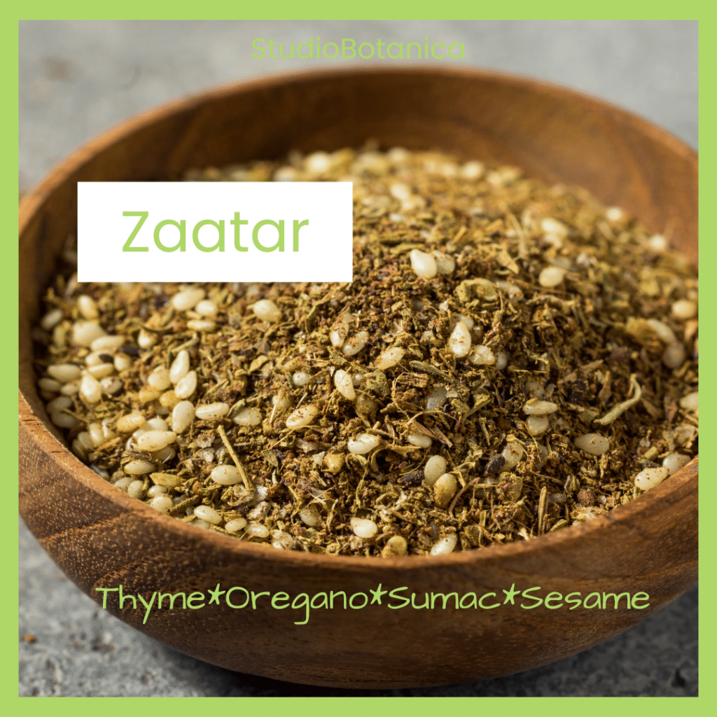 How to Make Zaatar + Herb Infused Snack Delight! - Studio Botanica