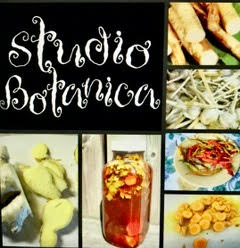 Four Thieves vinegar recipe (legend included) - Studio Botanica