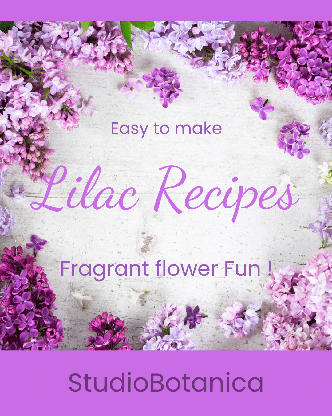 Easy Lilac Recipes ~ Lilac Honey + more! - Studio Botanica