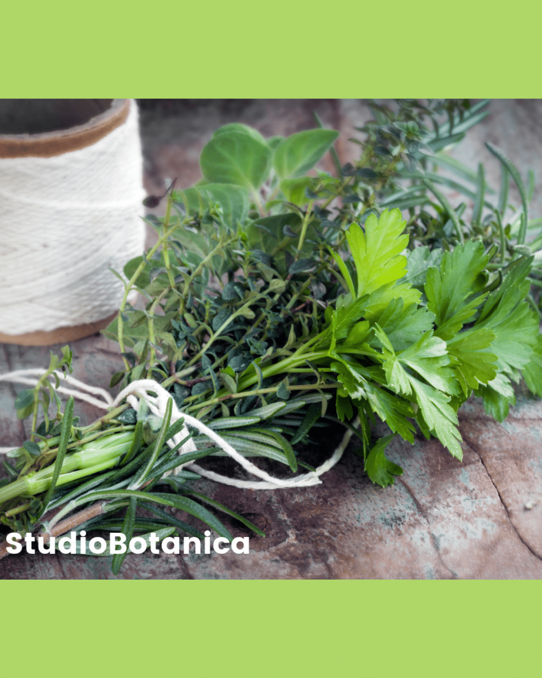 How to make Bouquet Garni ~ elevate your meals - Studio Botanica