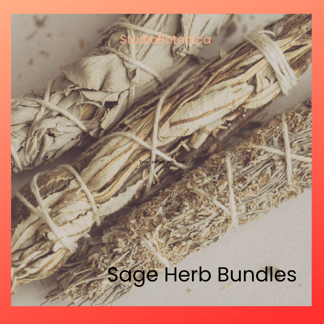 Herbal Bundles ~ Make your own smudge sticks - Studio Botanica