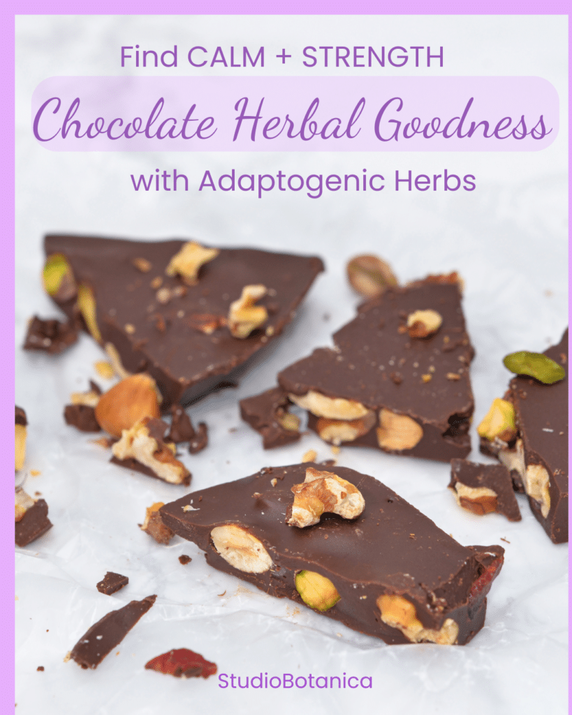 Chocolate Herbal Goodness ~ A recipe to calm + strengthen - Studio Botanica