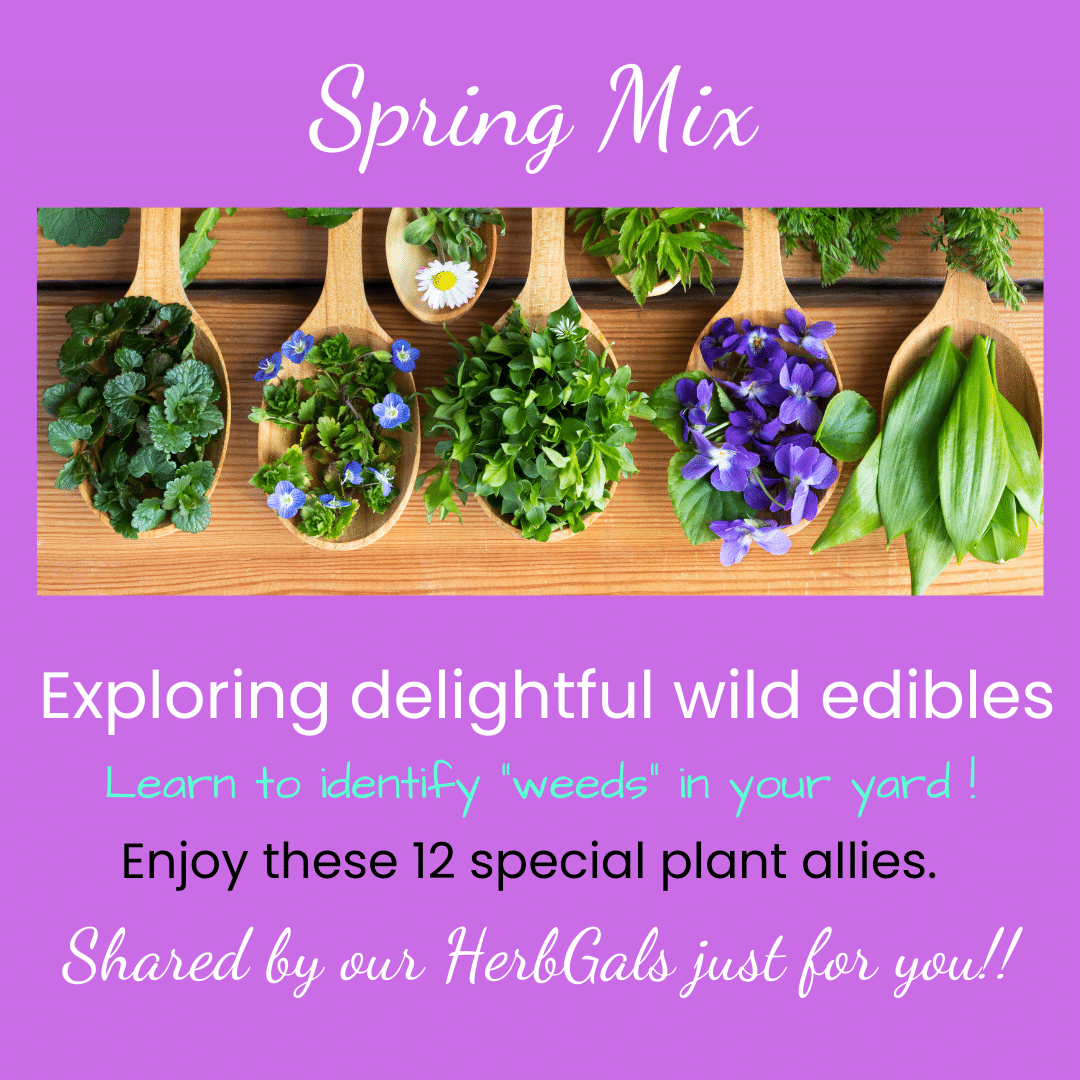 jamaica Archives - Studio Botanica